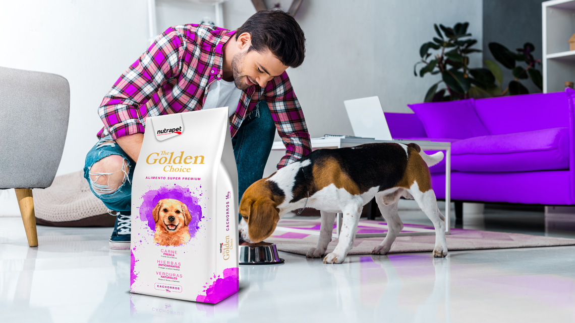 The Golden Choice, rediseño de packaging